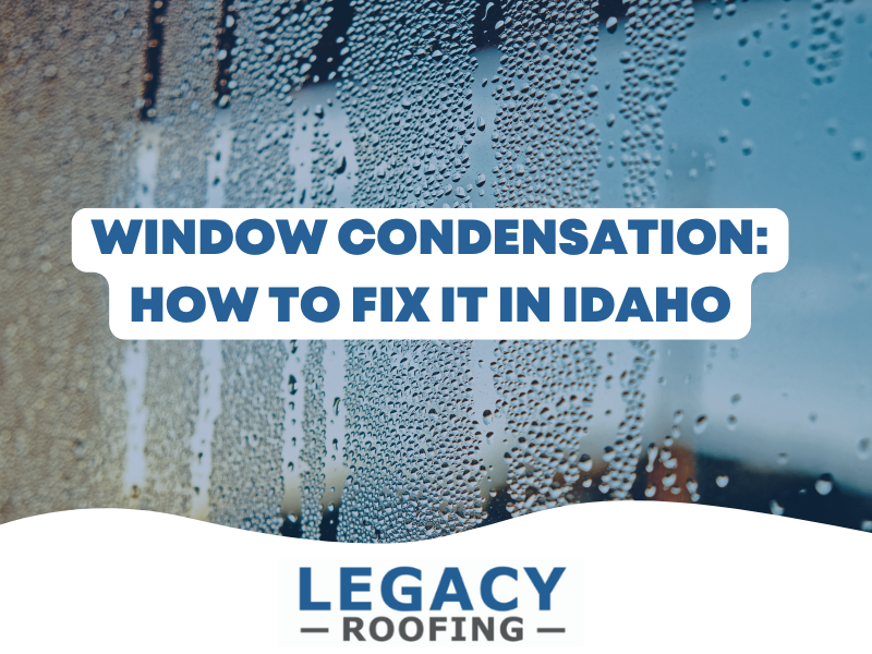 Window Condensation Repair Idaho: Causes, Fixes, and Solutions for ...
